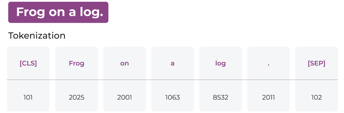 Tokenization and Tokenizers for Machine Learning