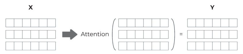Unleashing the Power of BERT: How the Transformer Model Revolutionized NLP