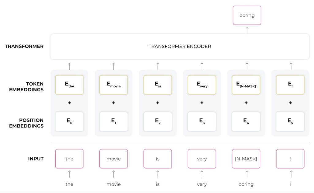 Unleashing the Power of BERT: How the Transformer Model Revolutionized NLP