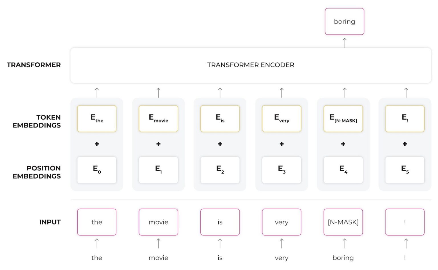 Unleashing the Power of BERT: How the Transformer Model Revolutionized NLP