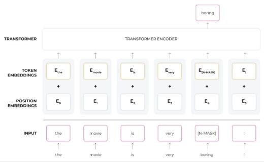 Unleashing the Power of BERT: How the Transformer Model Revolutionized NLP