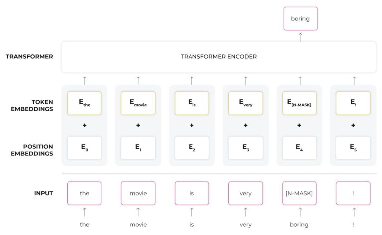 Unleashing the Power of BERT: How the Transformer Model Revolutionized NLP