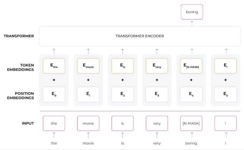 Unleashing the Power of BERT: How the Transformer Model Revolutionized NLP