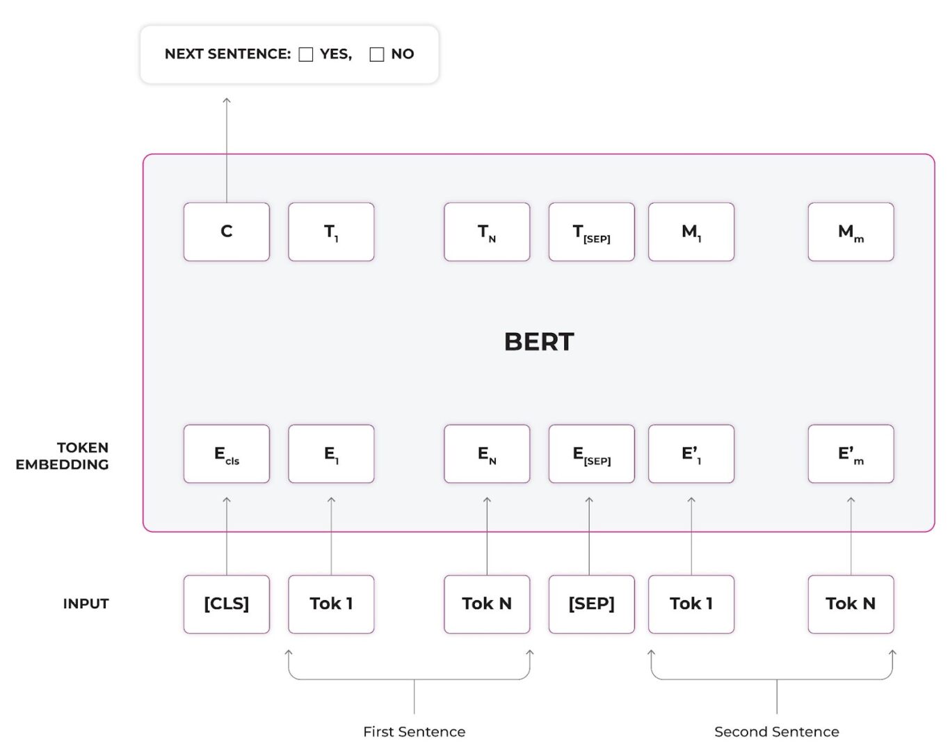 Unleashing the Power of BERT: How the Transformer Model Revolutionized NLP