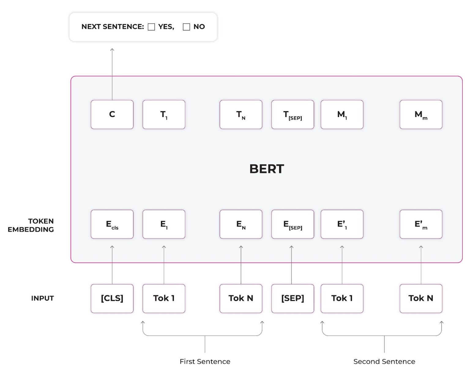 Unleashing the Power of BERT: How the Transformer Model Revolutionized NLP