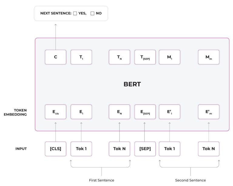 Unleashing the Power of BERT: How the Transformer Model Revolutionized NLP