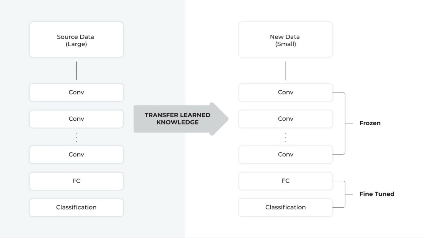 Transfer Learning: Practical Tutorial with TensorFlow and Implications ...