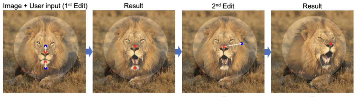 Drag Your GAN: Interactive Point-Based Manipulation on the Generative ...